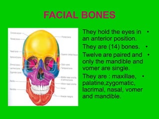 02 - skletal system.ppt