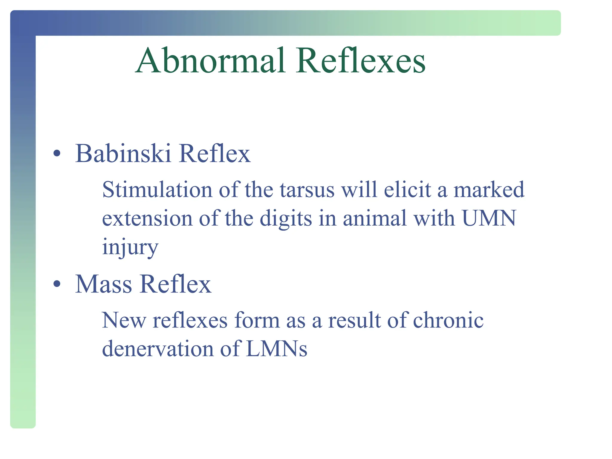 02 - Spine (1).ppt animal anatomy neurology | PPT