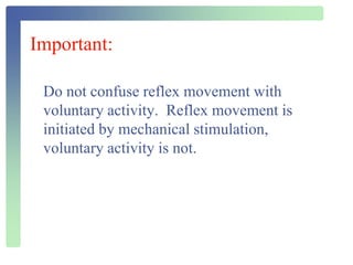 02 - Spine (1).ppt animal anatomy neurology | PPT