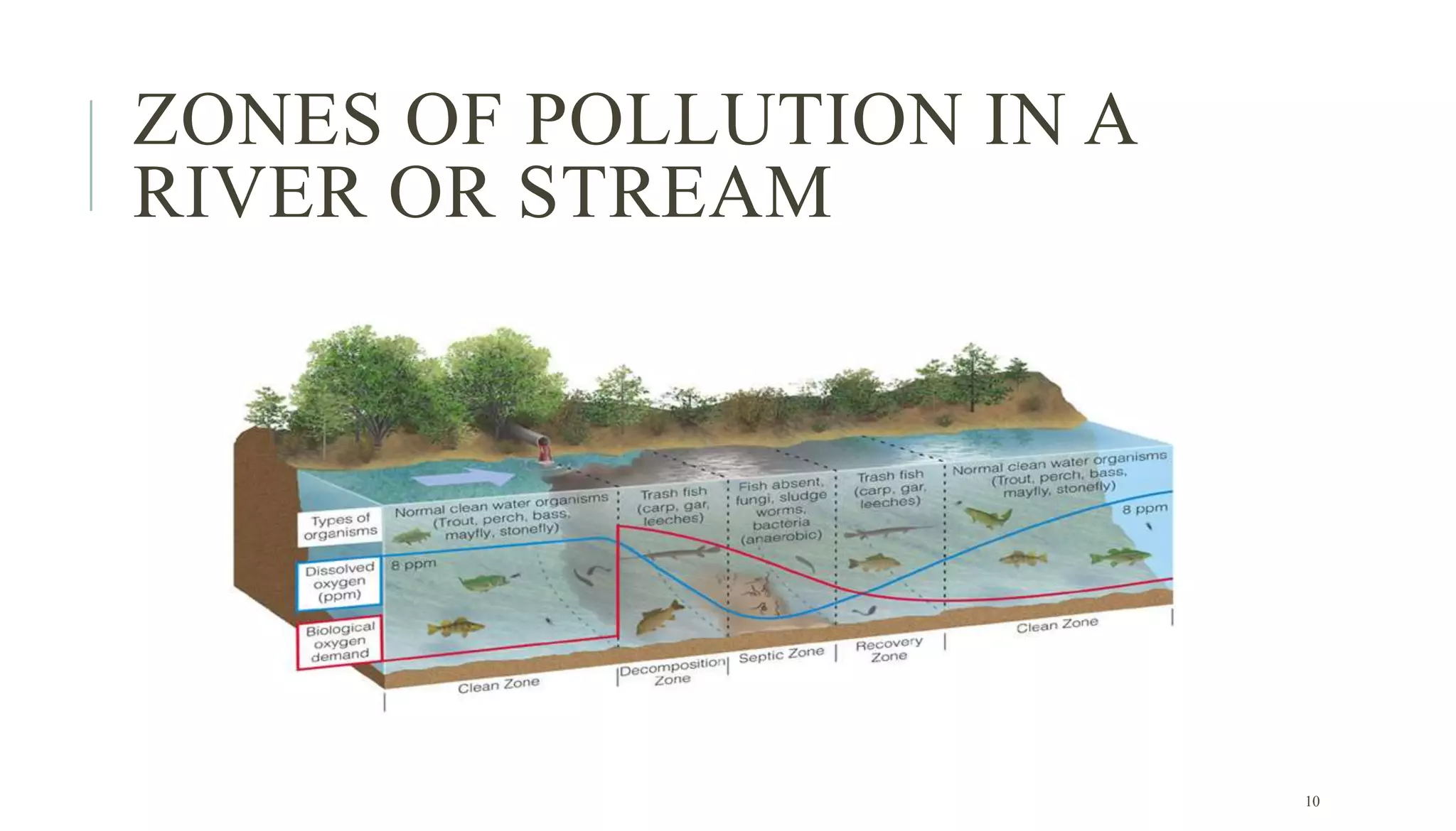 02 - Stream & Effluent standards, Oxygen sag curve, Self Purification.pptx