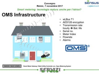 Tecnologie statiche per lo smart metering, Daniele Del Negro | PPT
