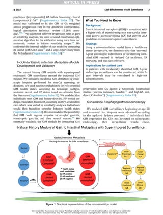 02- The_Clinical_Impact_Clin_Gast_Hep_2023.pdf