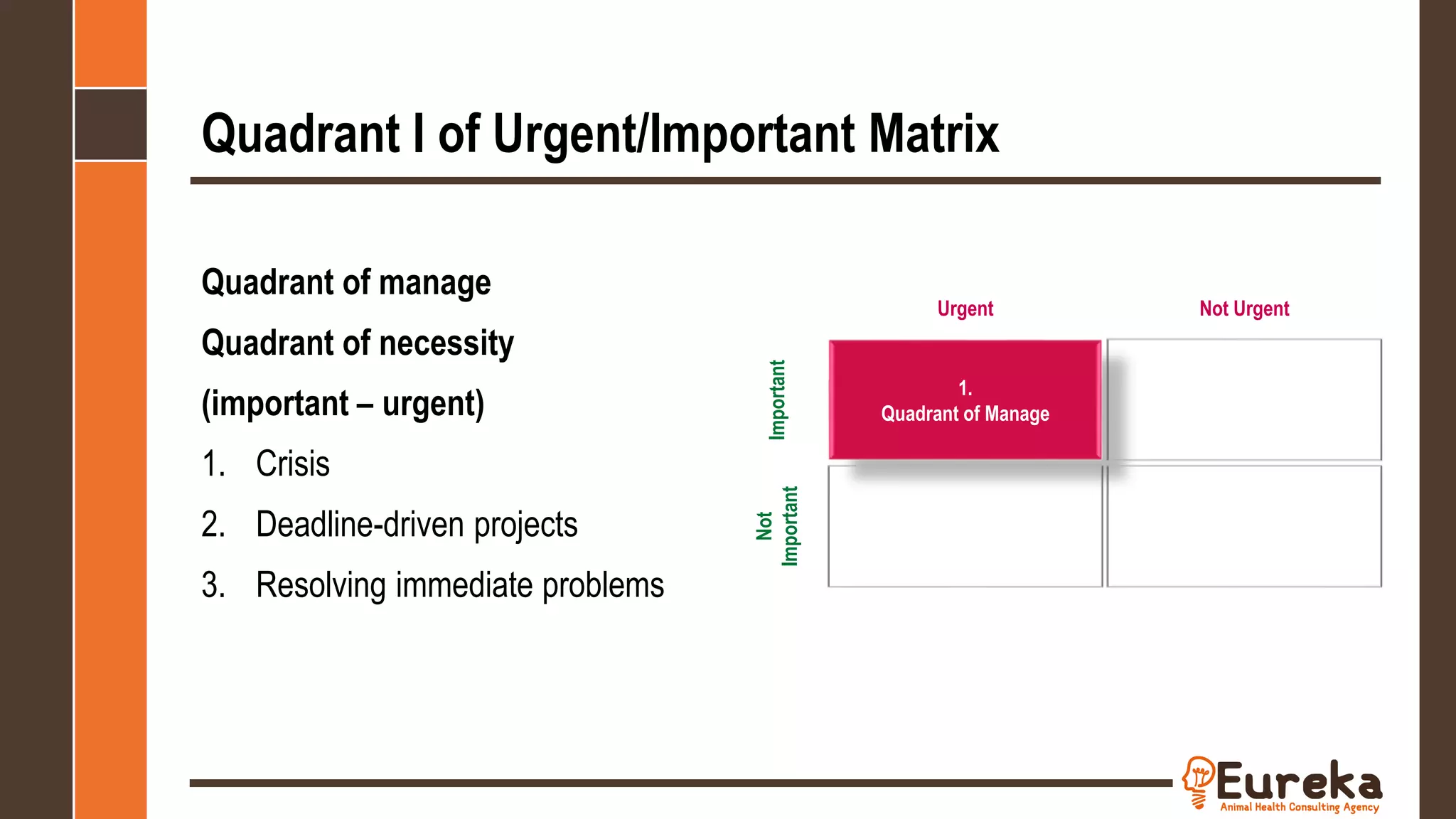 Time Management Urgent and Important Matrix | PPTX | Veterinary ...