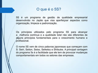 Treinamento 5S na pratica e na organização | PPTX