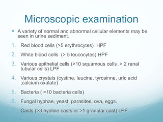 02-Investigations kidney Urinalysis.pptx