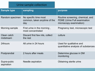 02-Investigations kidney Urinalysis.pptx