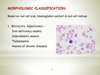 Anemia Causes, Types, Symptoms, Diet, and Treatment | PPTX