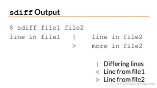 020-Comparing-Files.pdf