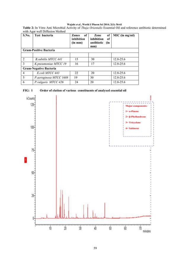 Chemical composition, Antioxidant and Antibacterial activity of Thuja orientalis | PDF ...
