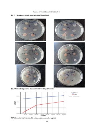 Chemical composition, Antioxidant and Antibacterial activity of Thuja orientalis | PDF
