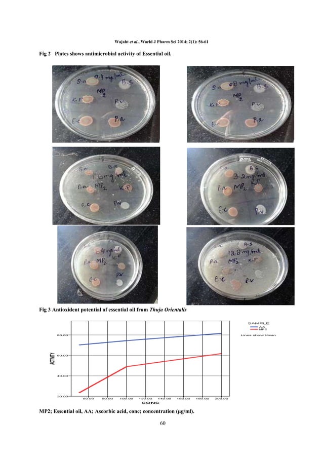 Chemical composition, Antioxidant and Antibacterial activity of Thuja orientalis | PDF ...