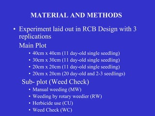 0205 SRI: A New Method of Rice Establishment | PPT