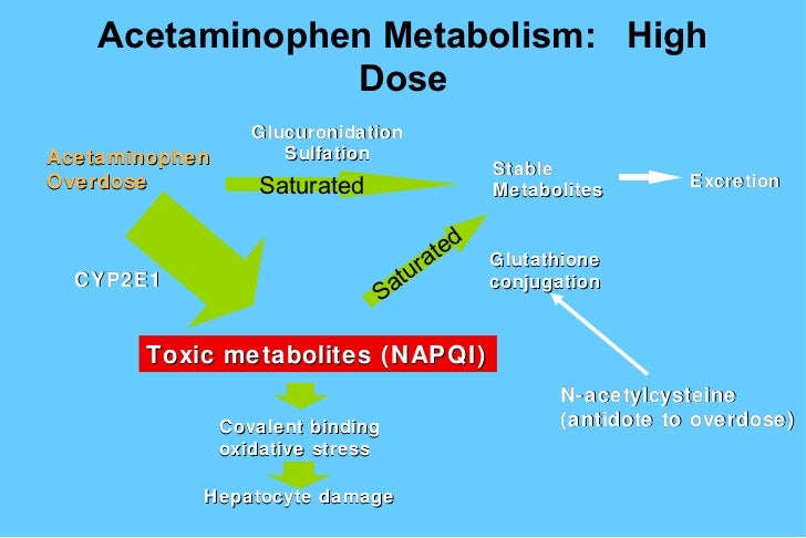 02.06.12(a): Drugs and the Liver