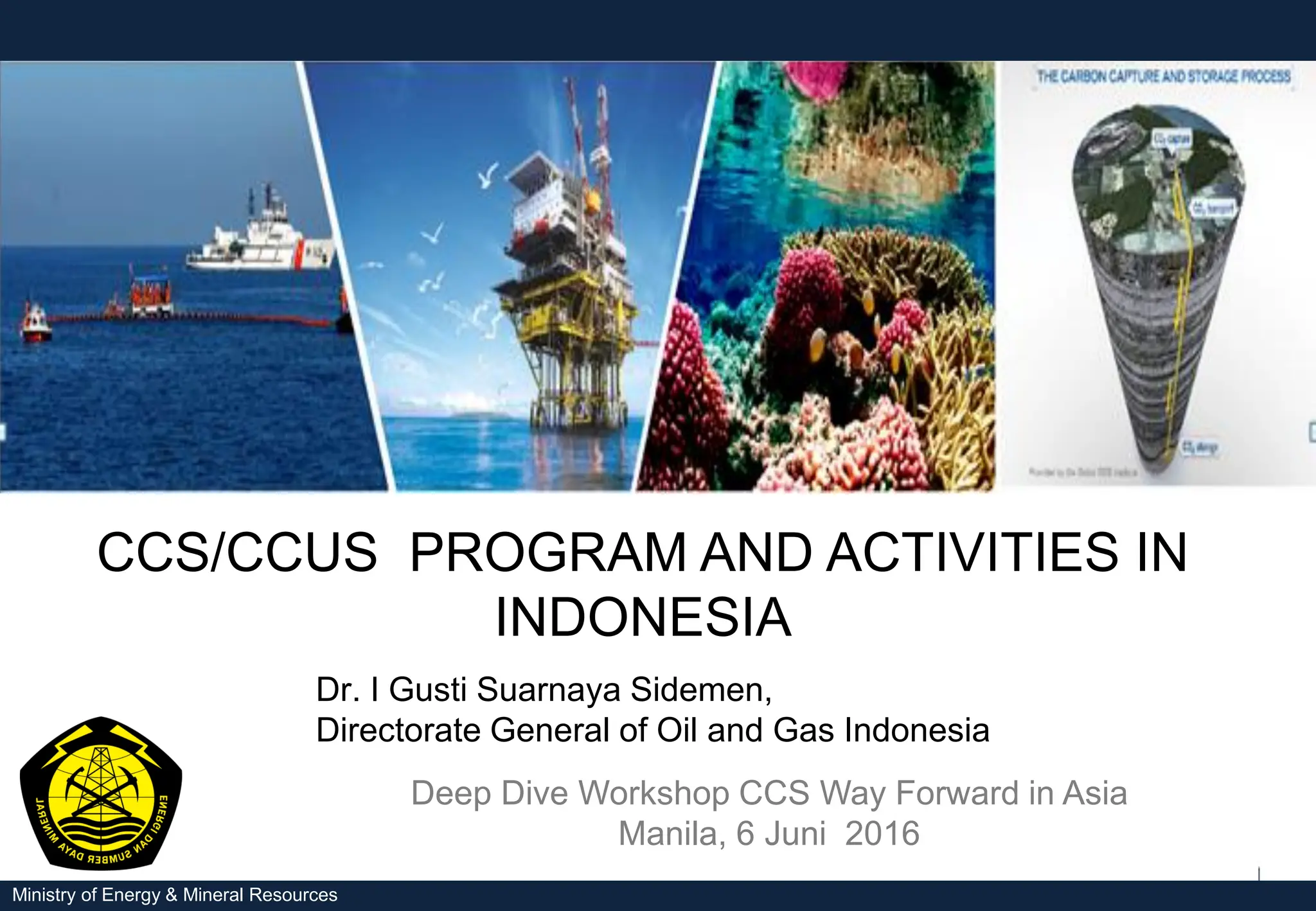 CCS/CCUS Program and Activities in Indonesia | PDF