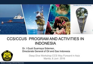 CCS/CCUS Program and Activities in Indonesia | PDF