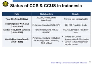 CCS/CCUS Program and Activities in Indonesia | PDF
