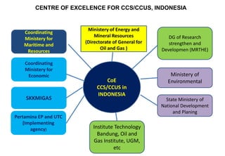 CCS/CCUS Program and Activities in Indonesia | PDF