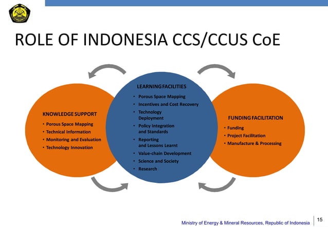 CCS/CCUS Program and Activities in Indonesia | PDF | Power and Energy Industry | Industries