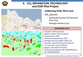 CCS/CCUS Program and Activities in Indonesia | PDF