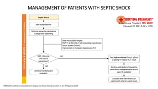 Surviving Sepsis in Pregnancy | PPTX