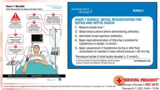 Surviving Sepsis in Pregnancy | PPTX