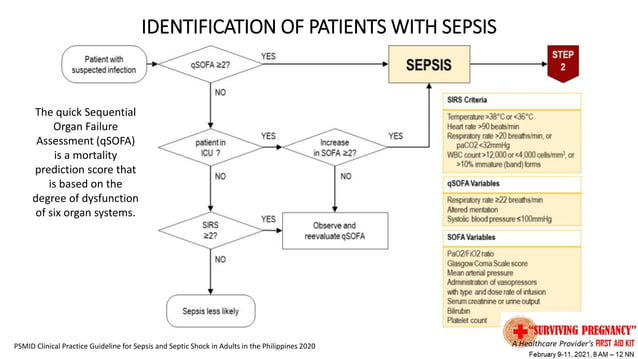 Surviving Sepsis in Pregnancy | PPT