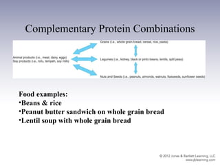 SportsNutrition_Chapter5_Protein | PPT