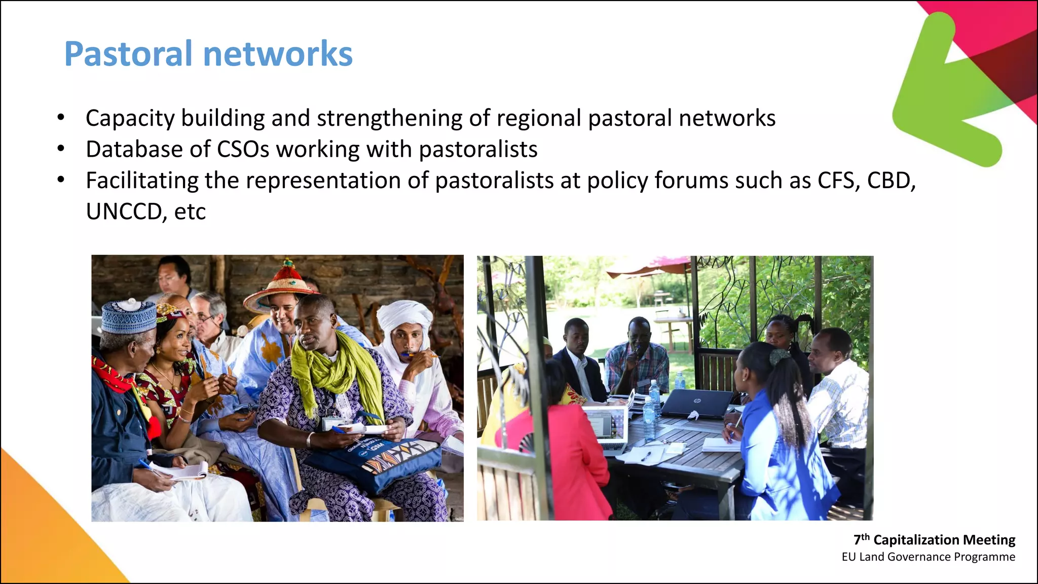 Pastoralism in the world | PDF