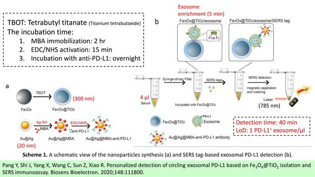 A brief review of exosome & its detection | PPTX