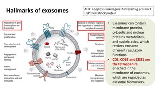 A brief review of exosome & its detection | PPTX