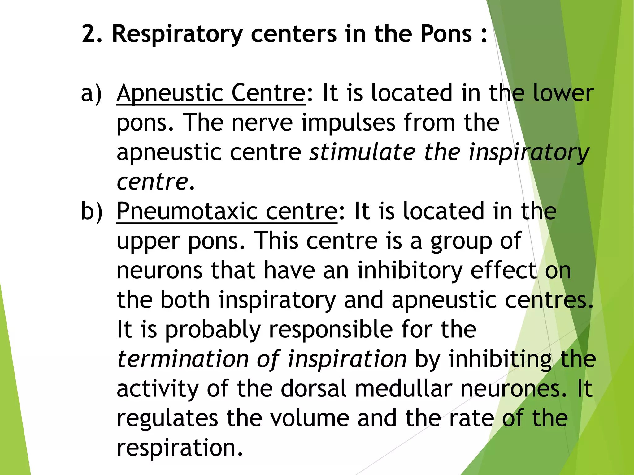 PHYSIOLOGY OF RESPIRATION- DEON DAVID, LOYOLA COLLEGE CHENNAI | PPTX