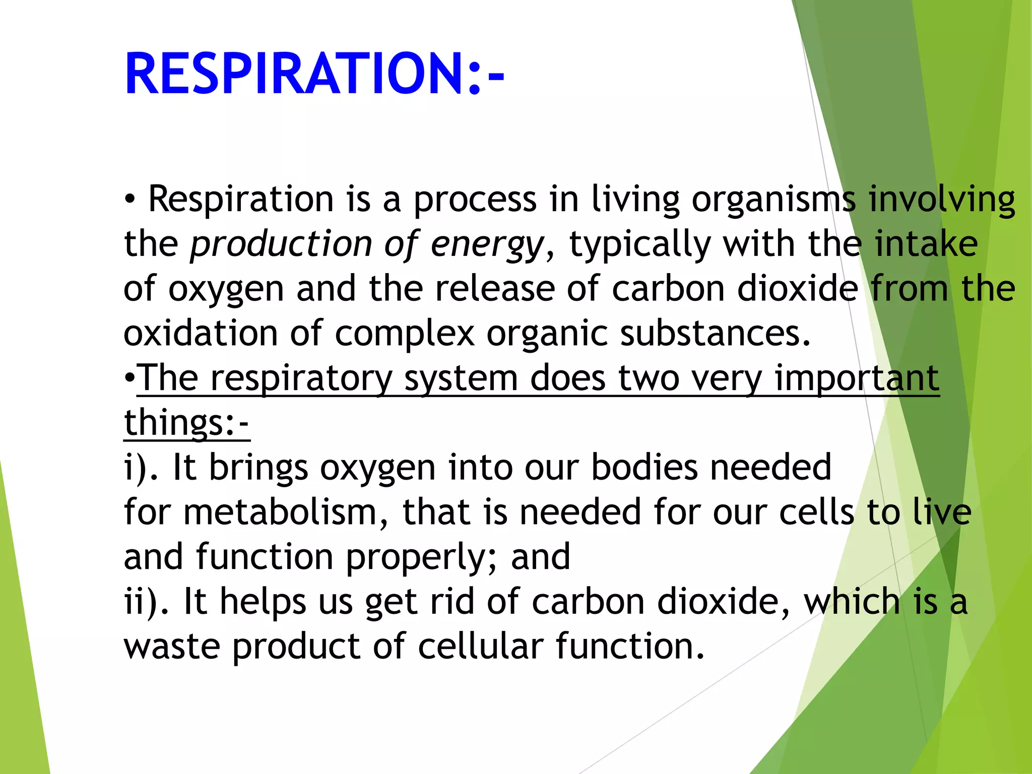 PHYSIOLOGY OF RESPIRATION- DEON DAVID, LOYOLA COLLEGE CHENNAI | PPTX