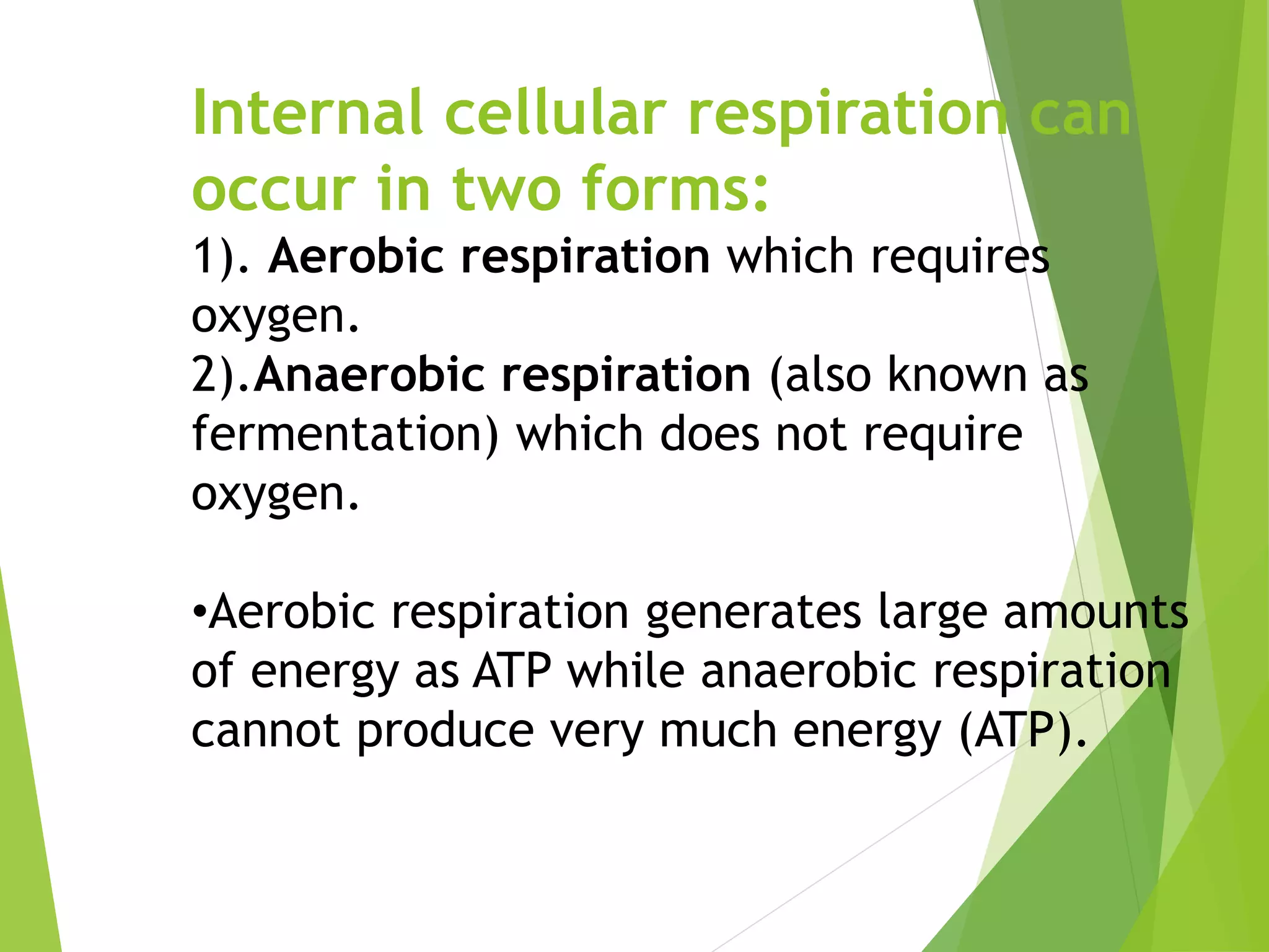 PHYSIOLOGY OF RESPIRATION- DEON DAVID, LOYOLA COLLEGE CHENNAI | PPTX