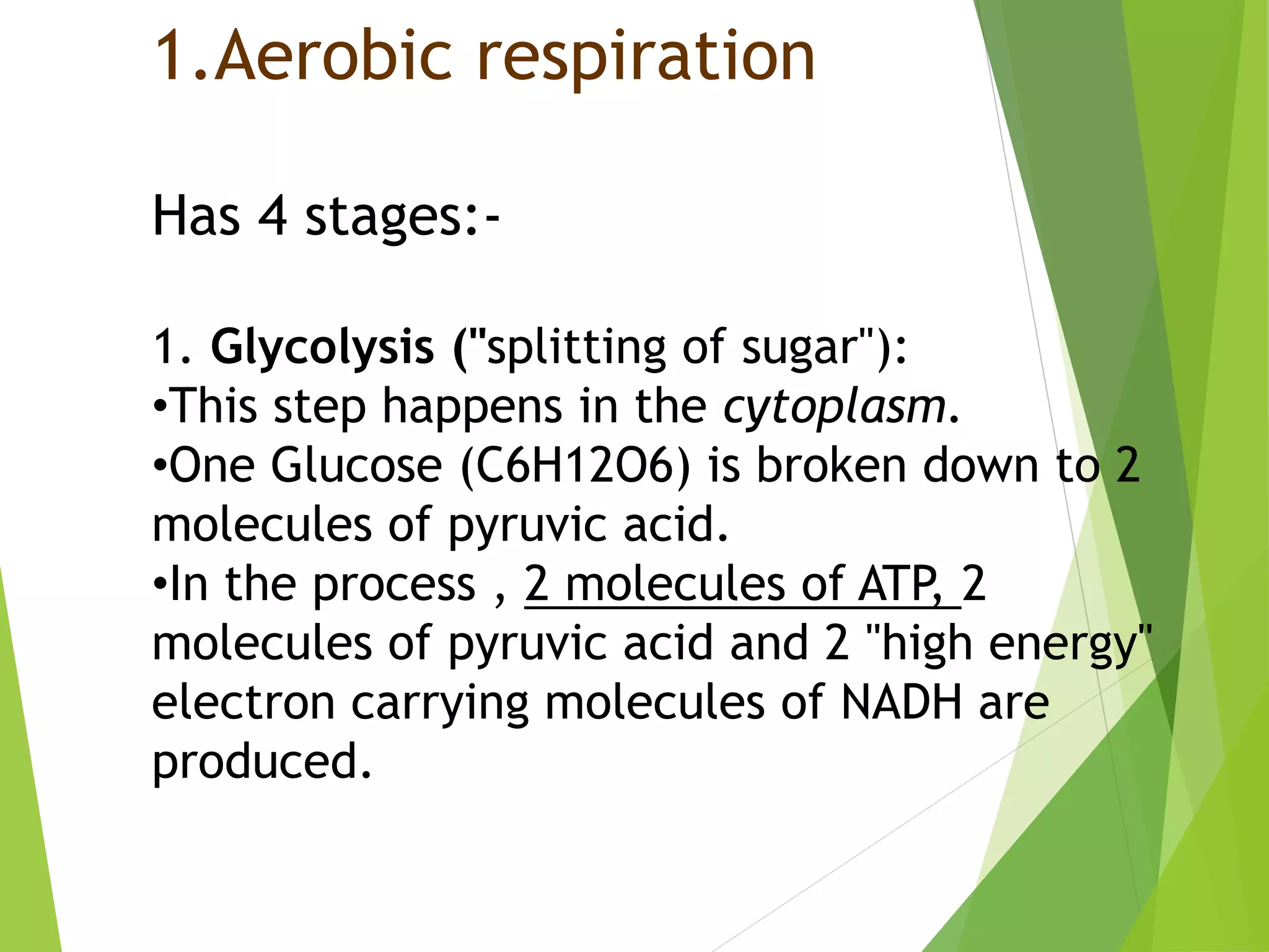 PHYSIOLOGY OF RESPIRATION- DEON DAVID, LOYOLA COLLEGE CHENNAI | PPTX
