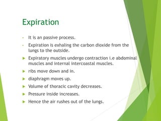 PHYSIOLOGY OF RESPIRATION- DEON DAVID, LOYOLA COLLEGE CHENNAI | PPTX