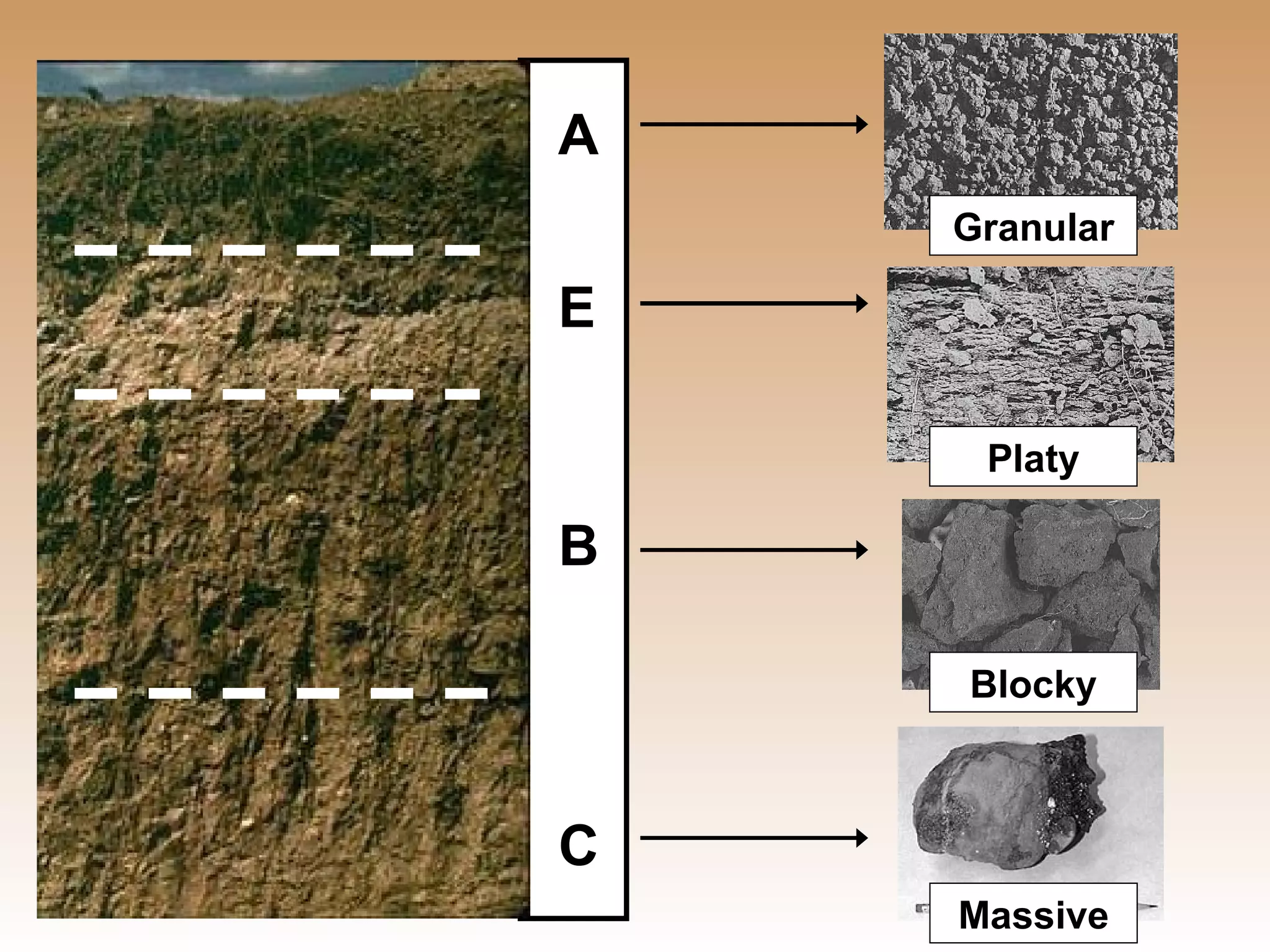 Introduction to Soil Science | PPT