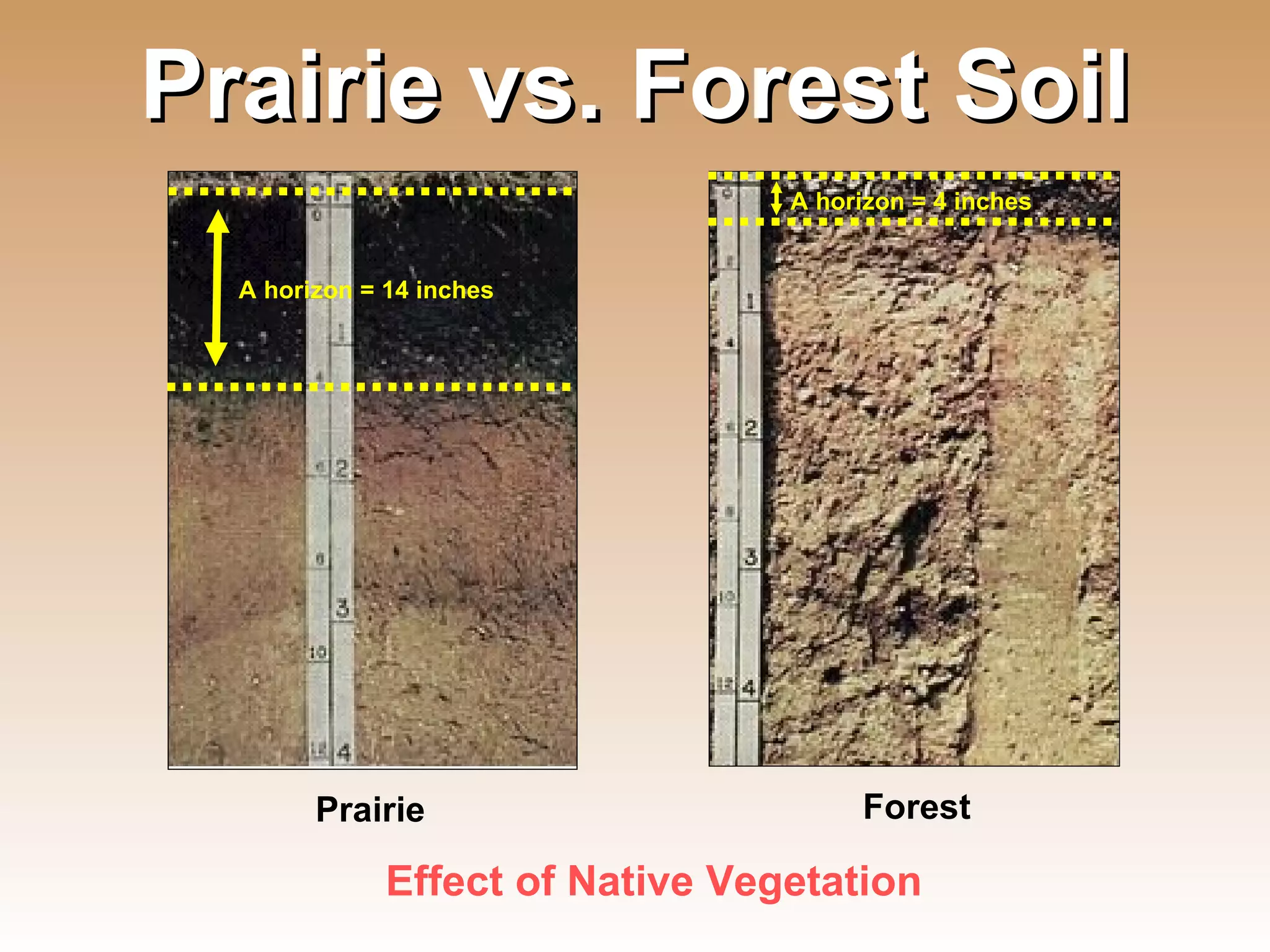Introduction to Soil Science | PPT