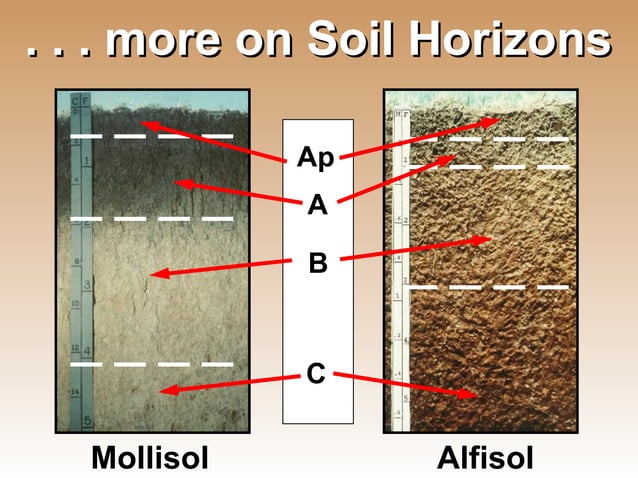 Introduction to Soil Science | PPT