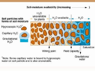 Introduction to Soil Science | PPT