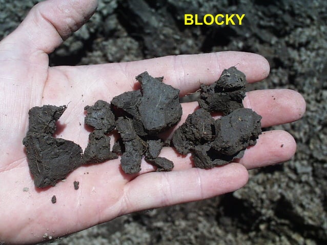 Introduction to Soil Science | PPT