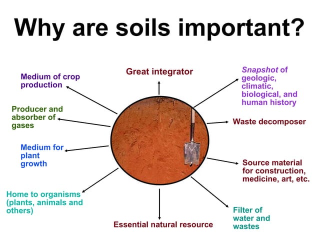 Introduction to Soil Science | PPT