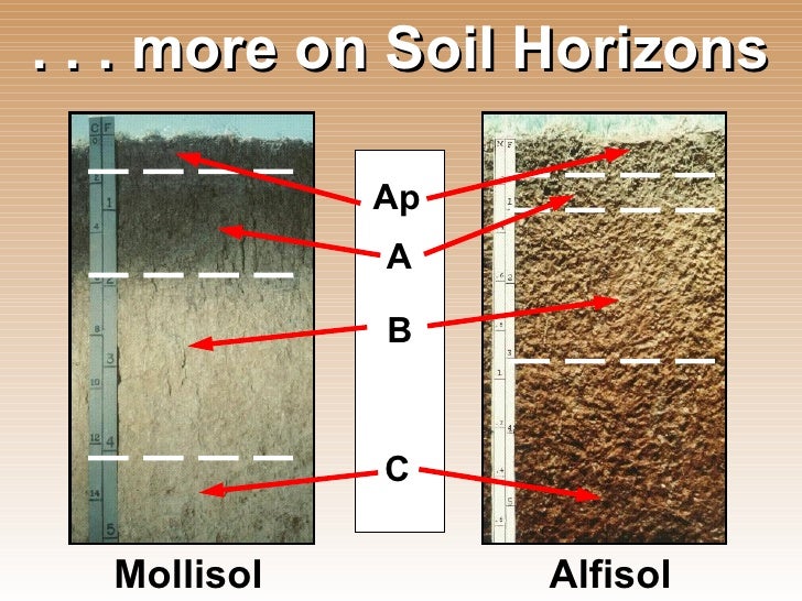 Introduction to Soil Science