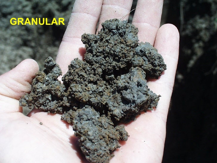 Soil Structure Granular