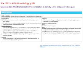 1.4. Membrane transport | PPT
