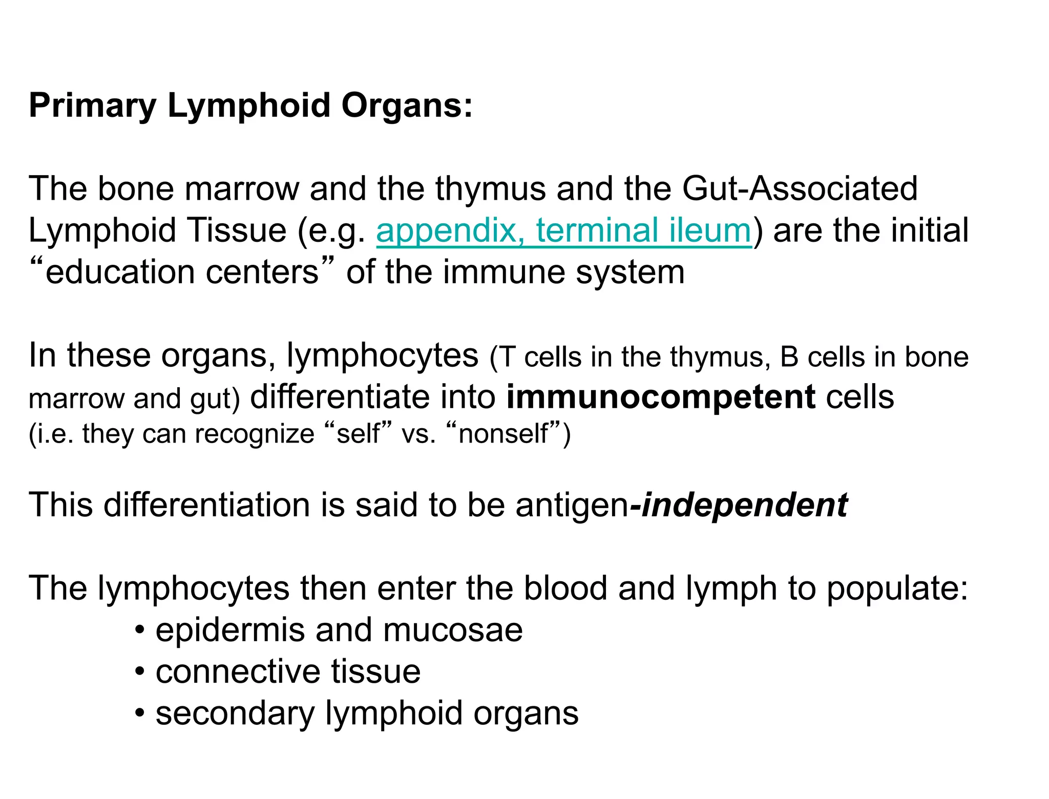 02.16.09: Lymphatic Histology | PDF
