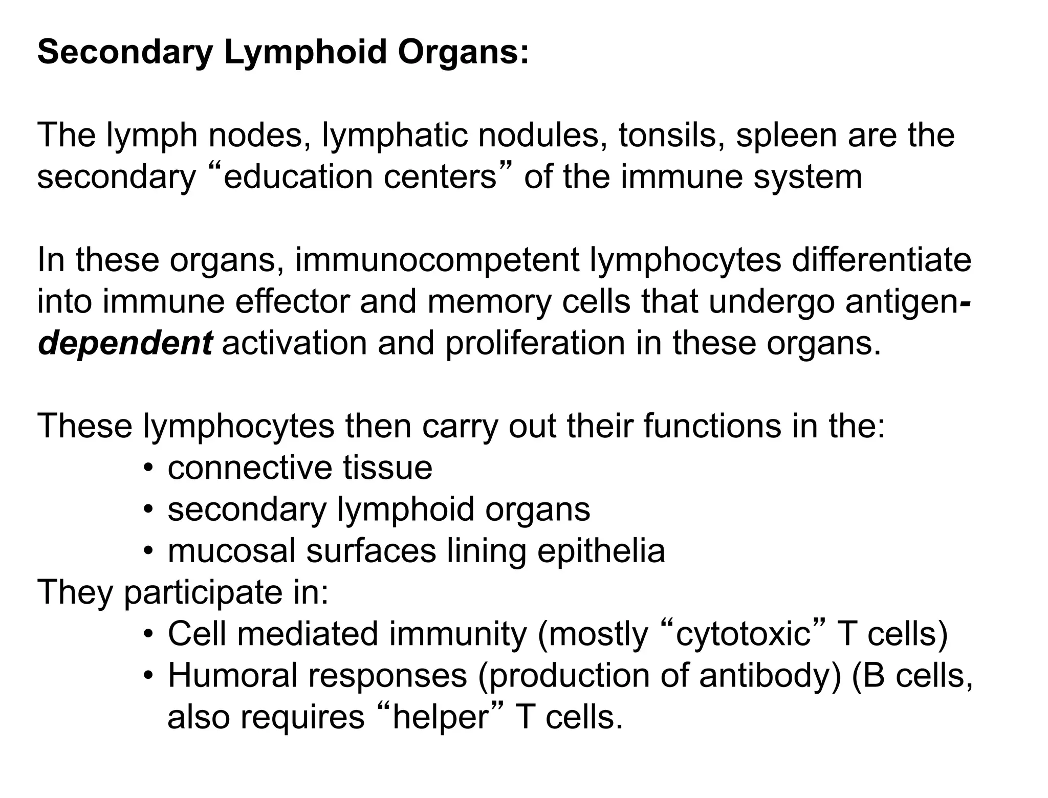 02.16.09: Lymphatic Histology | PDF