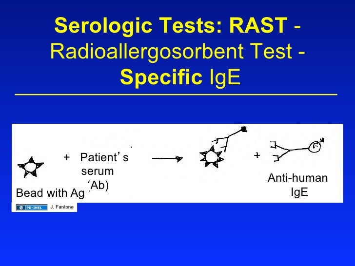 02.17.09(a): Types I - IV Immunopathology