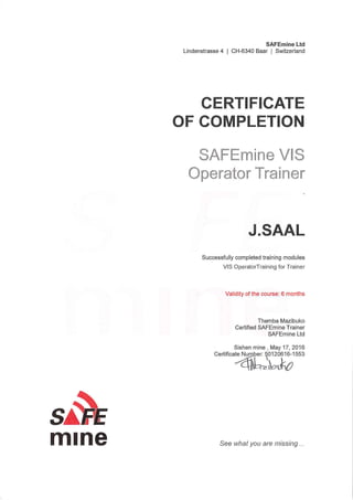 Safemine | PDF
