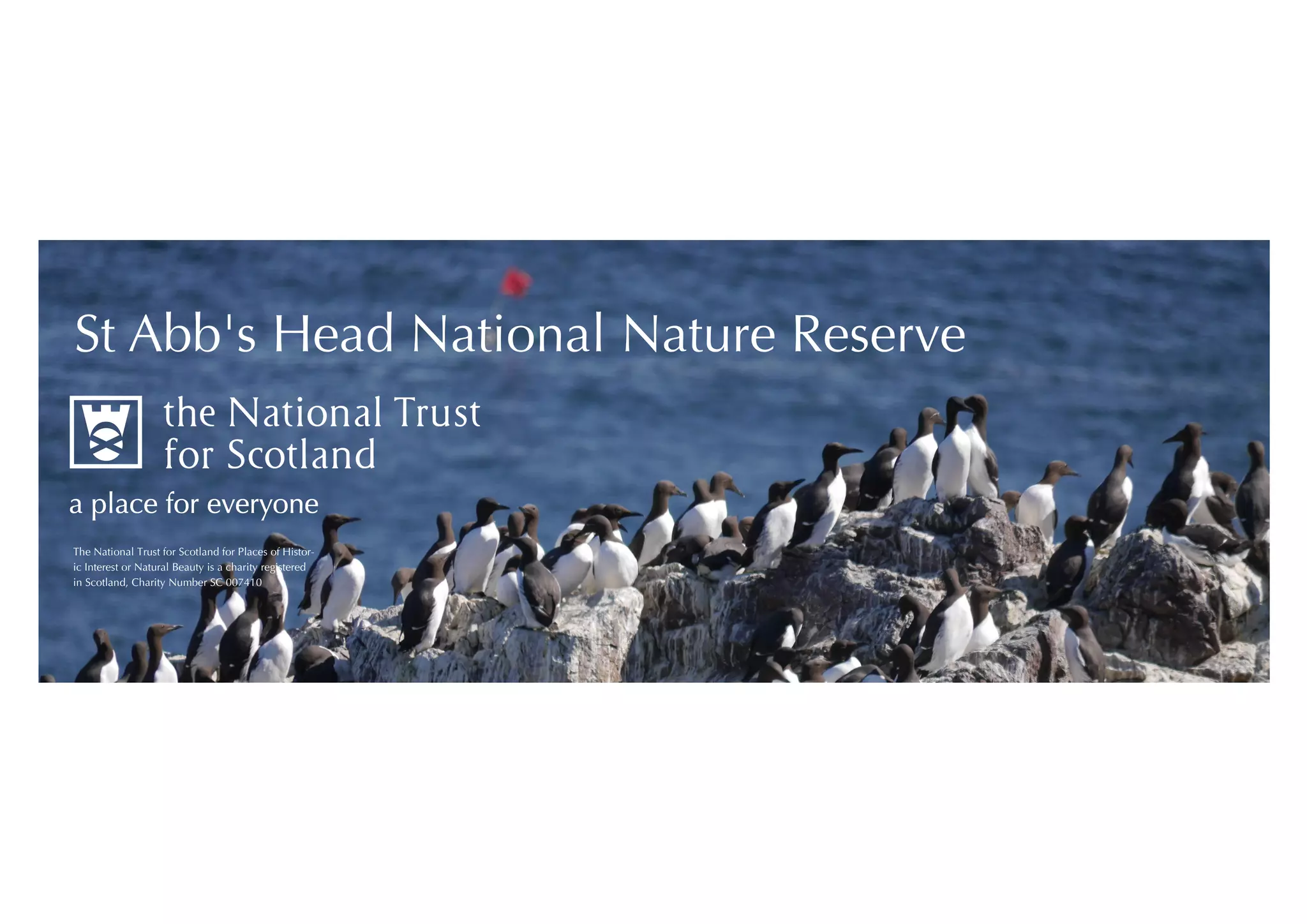 Collection Box Labels | PDF