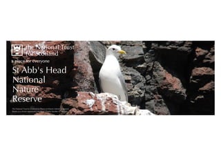 Collection Box Labels | PDF